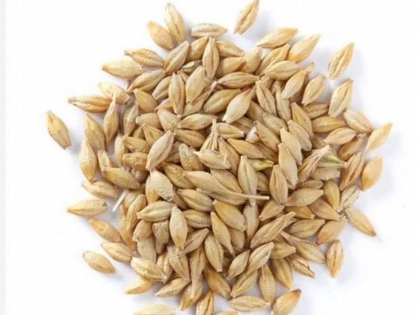 Продам ячмень