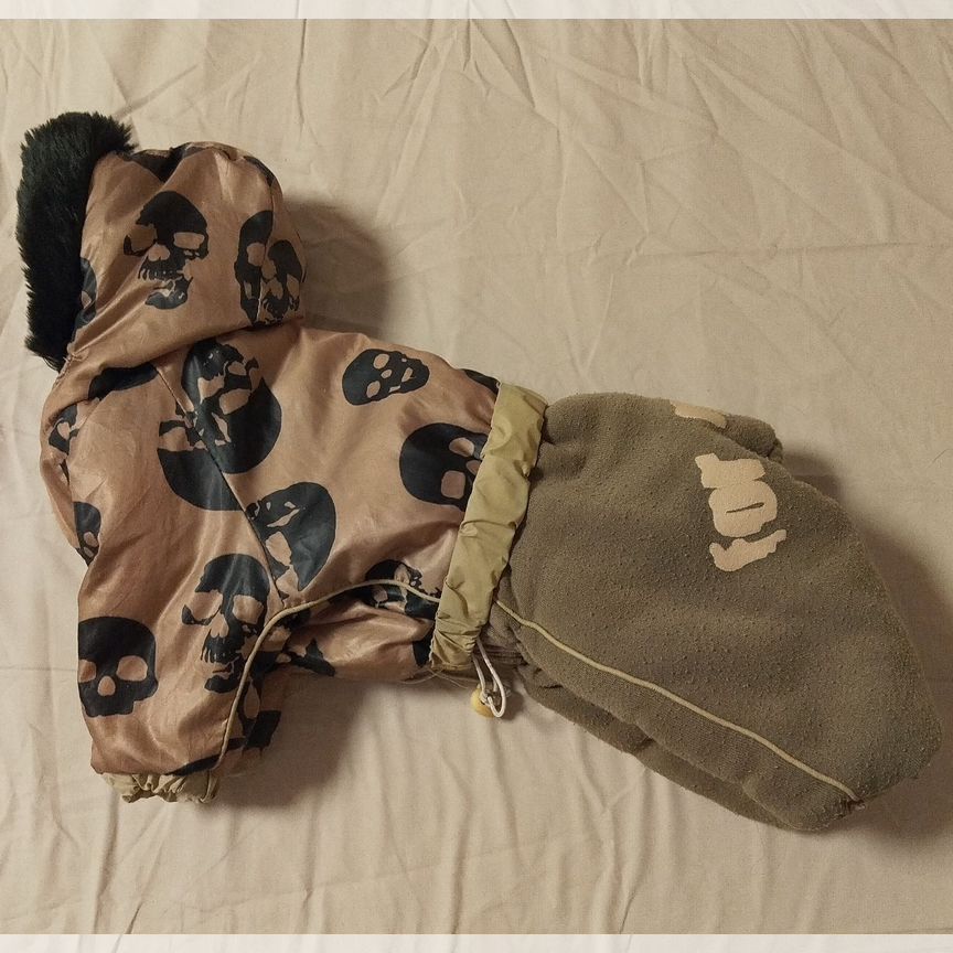 Одежда для маленьких собак зима