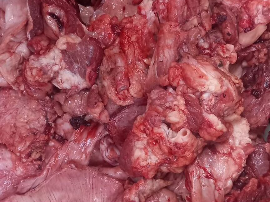 Корм для собак. Тех обрезь. Говядина