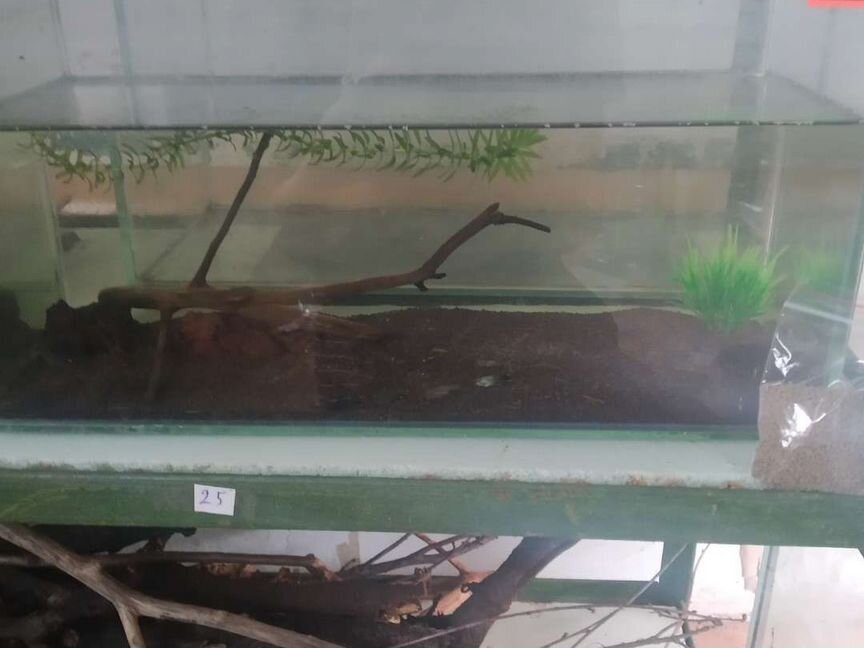 Аквариум укомплектованный