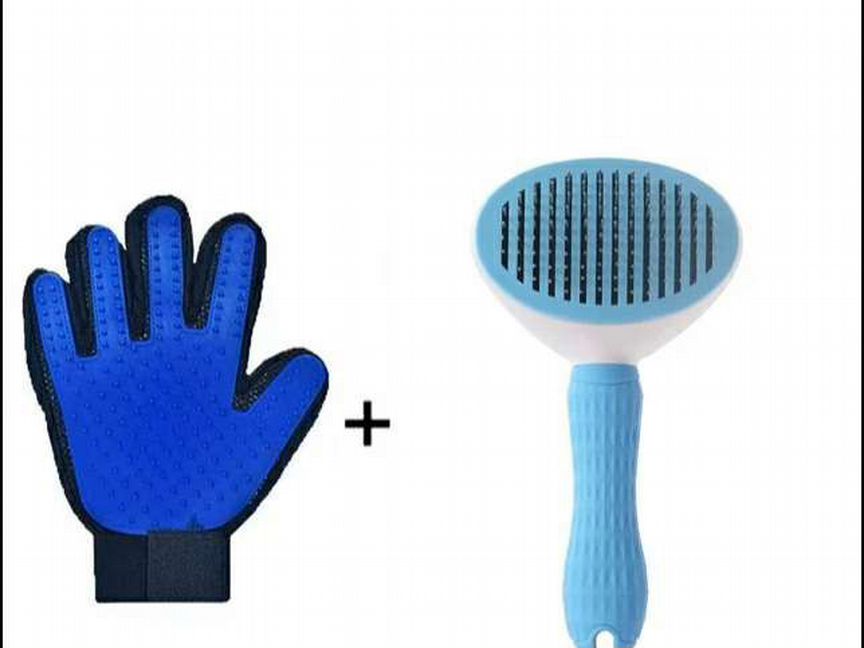 Домашние животные