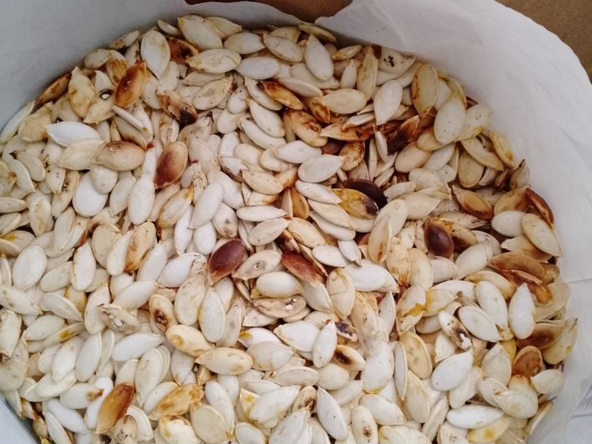 Тыквенные семечки