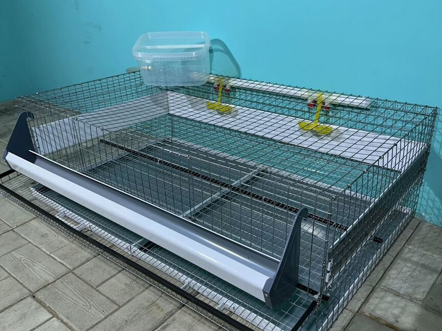 Клетка для перепелов на 50 голов