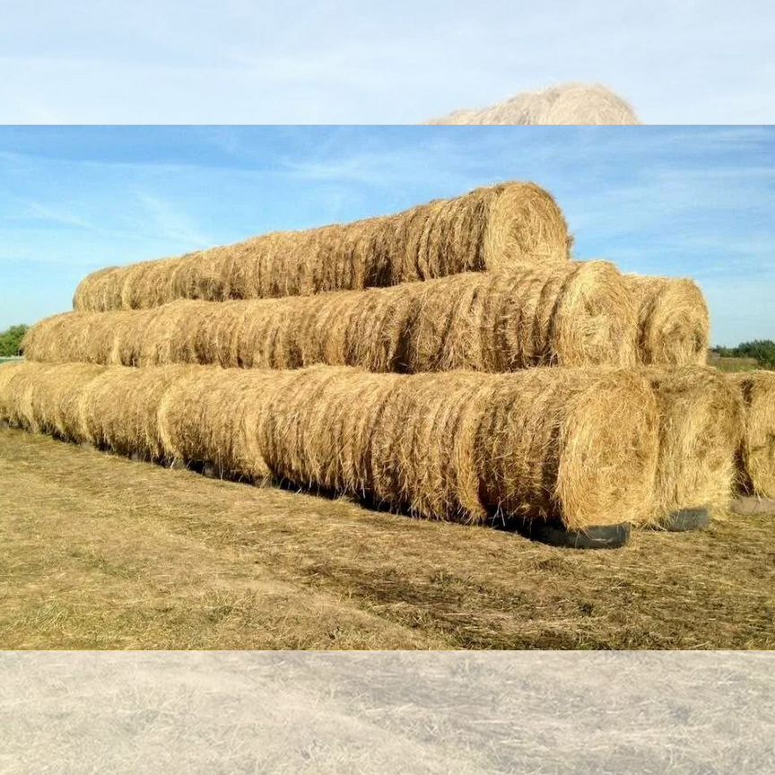 Сено в тюках