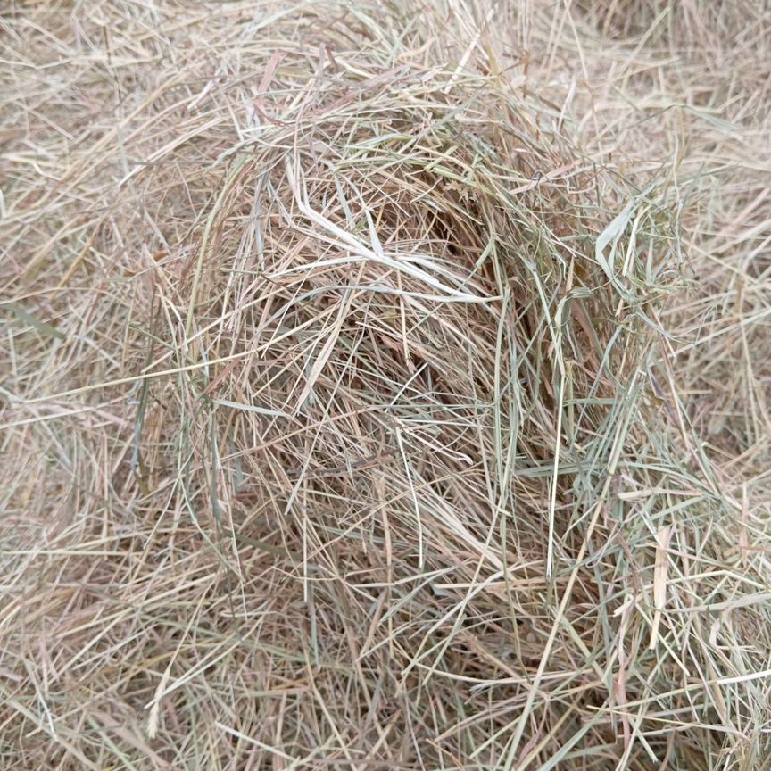 Сено, солома ячменная