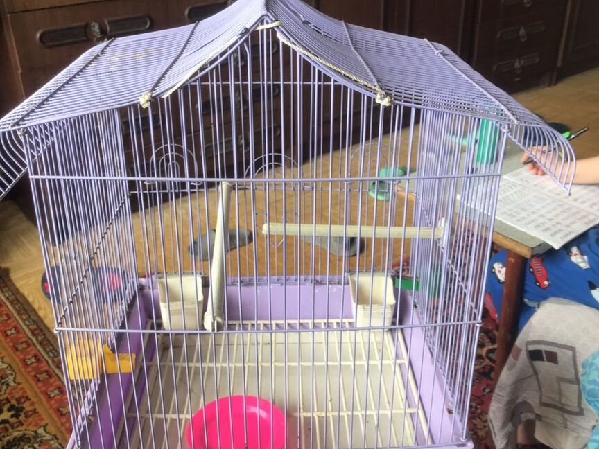 Клетка для птиц (шеглов)