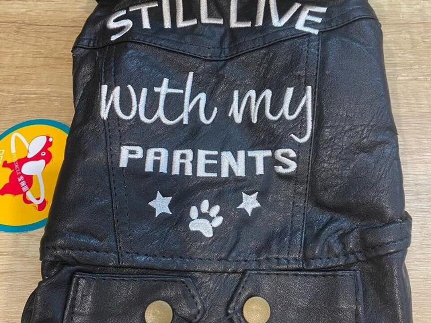 Одежда для собак