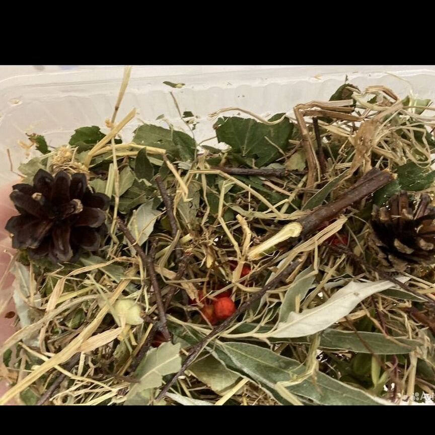 Копошилка для попугаев