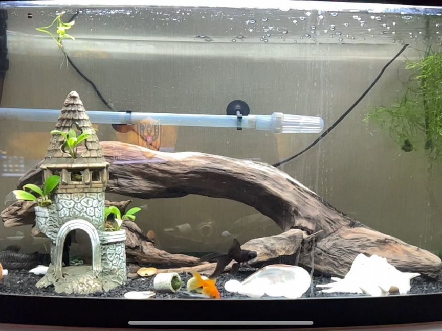 Аквариум телевизор 100л