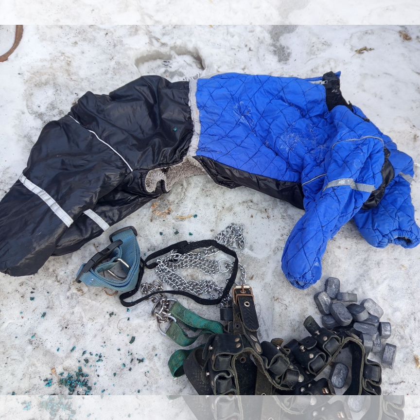 Зимняя куртка для собак