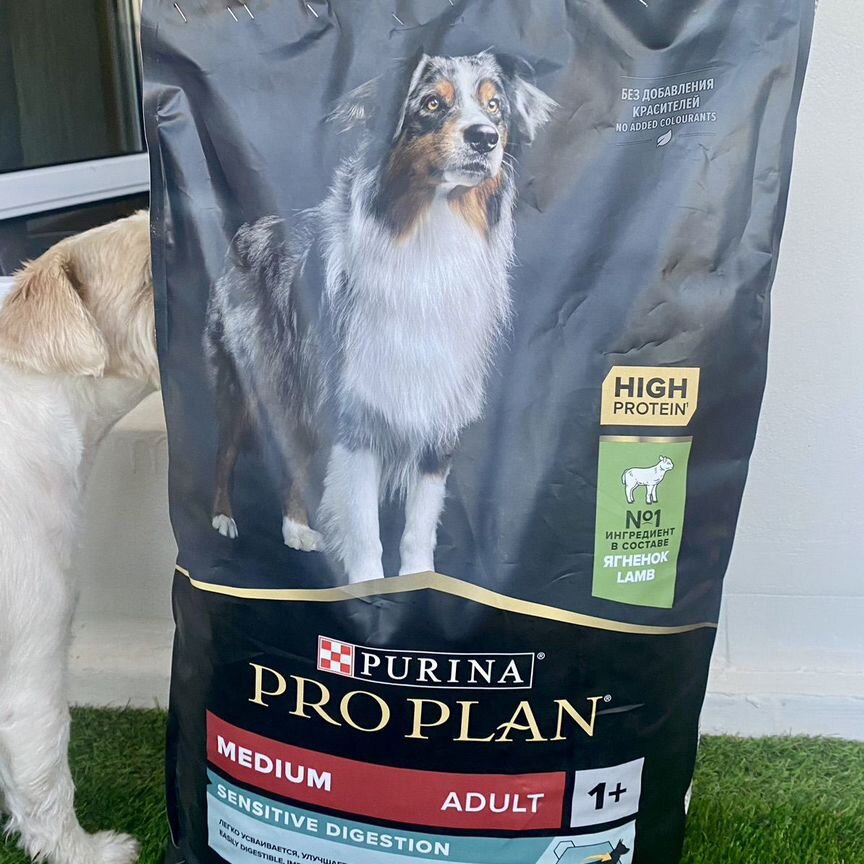 Корм для собак