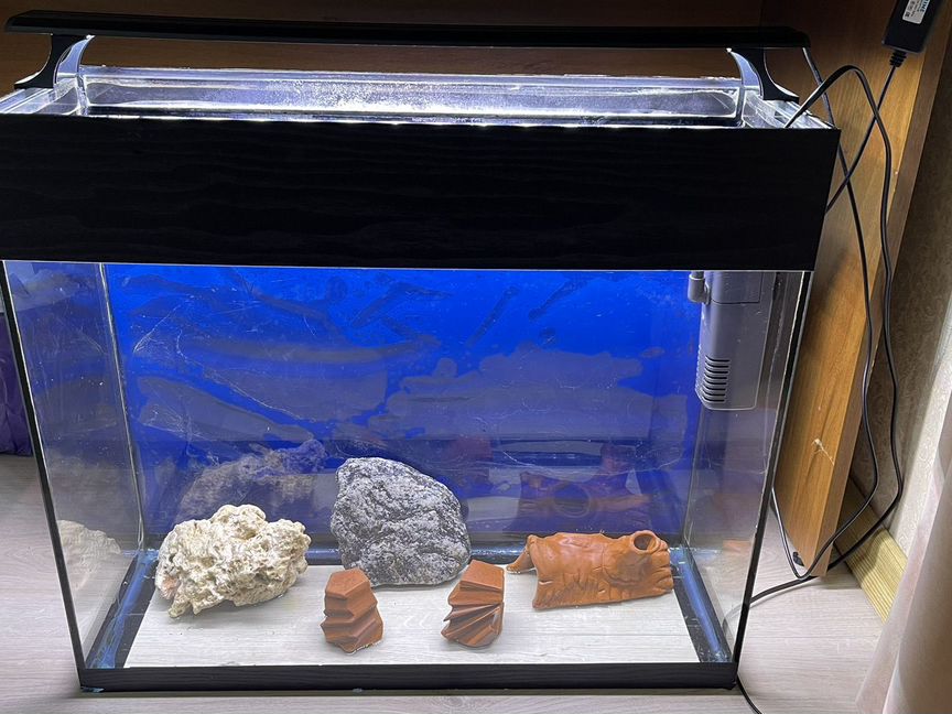 Аквариум в сборе