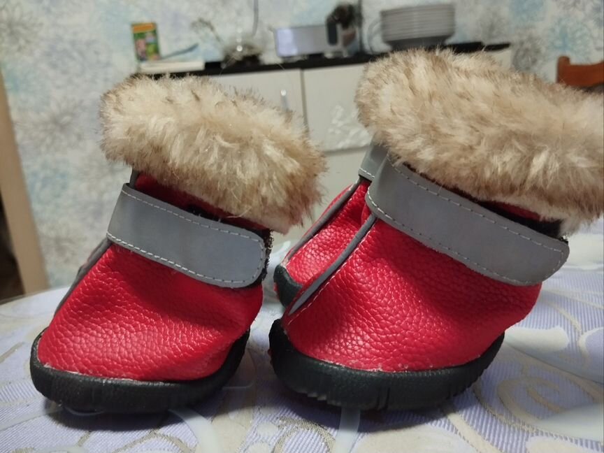 Зимние ботинки для собак