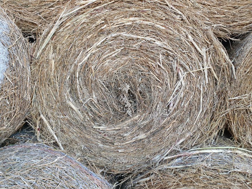 Сено в рулонах