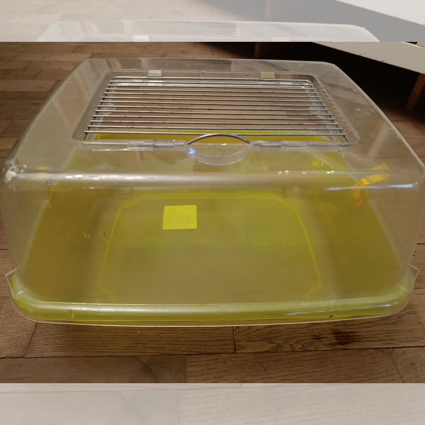 Террариум мини закрытый