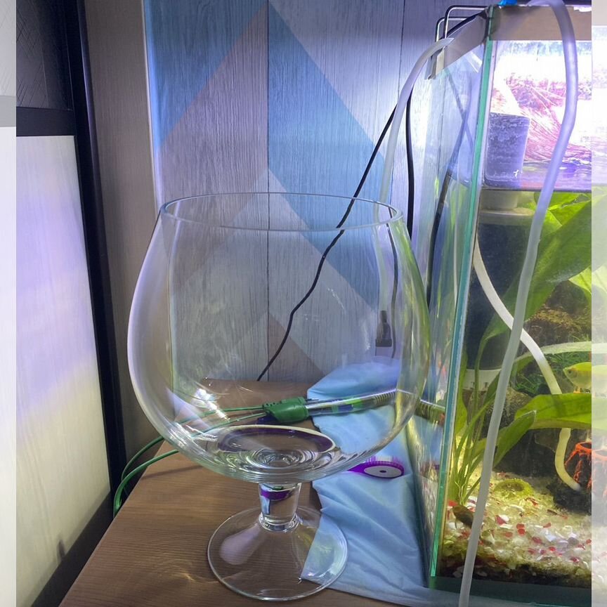 Аквариум в виде бокала