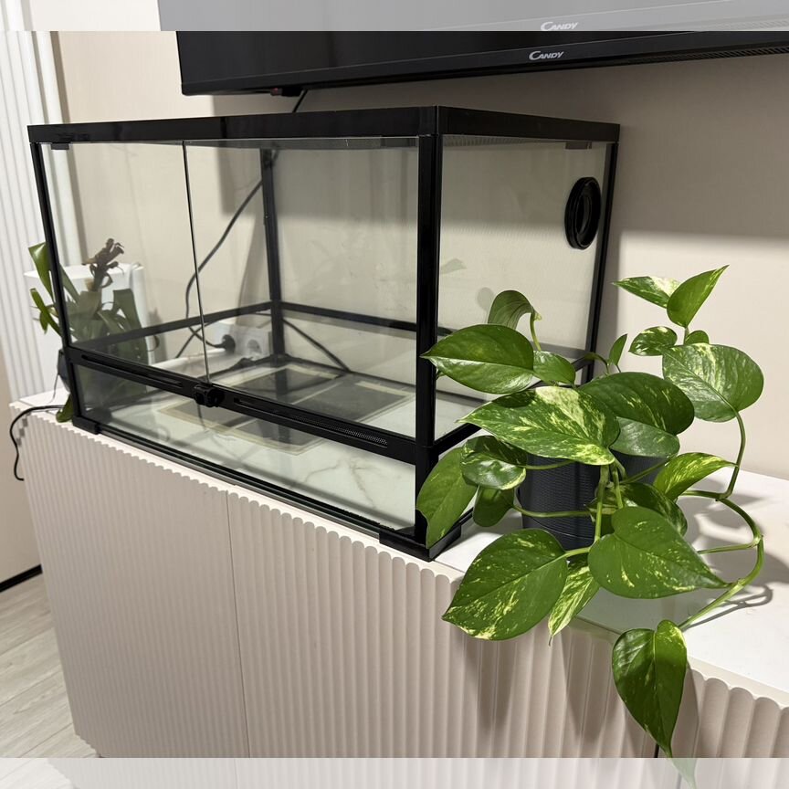 Террариум для рептилий бу