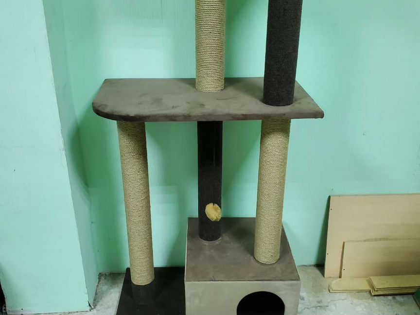 Когтеточка для кошек