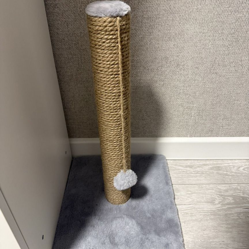 Когтеточка