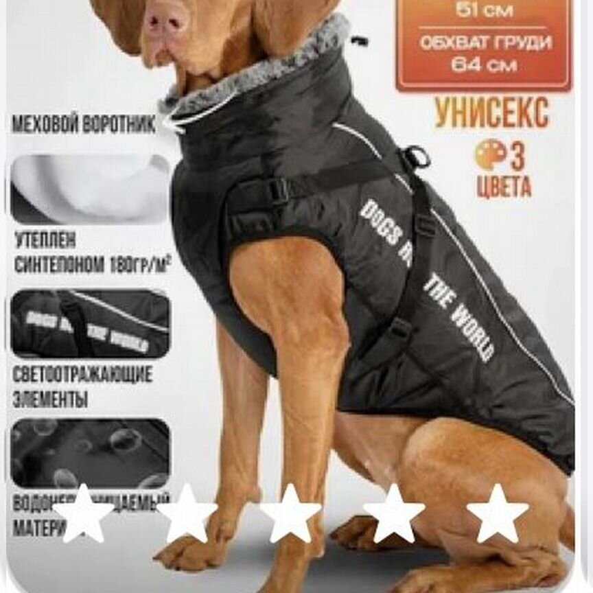 Жилет для собак