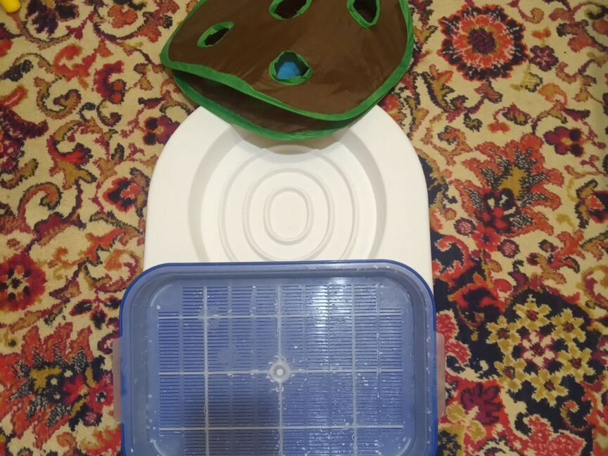 Лоток миски игрушки