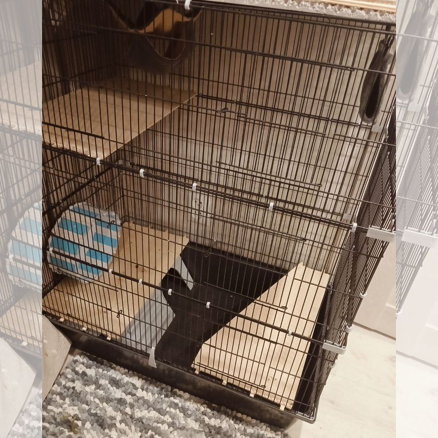 Клетка 78х48х92,5 для шиншил/белок/грызунов