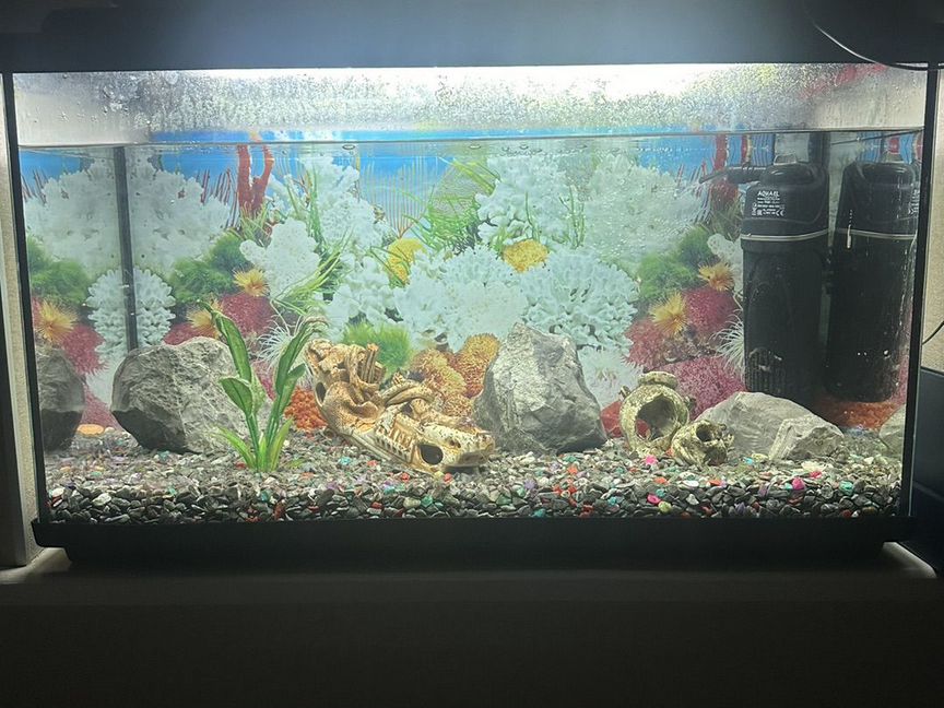 Аквариум