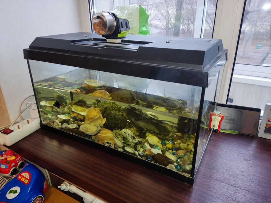 Аквариум 50 л (54 л.). 600х300х300 мм