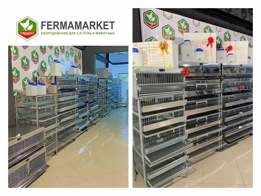 Клетки для перепелов Васильево