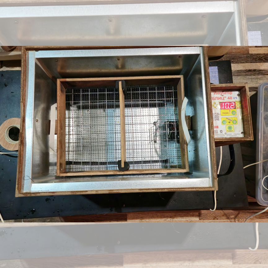 Инкубатор для яиц "Блиц" 48