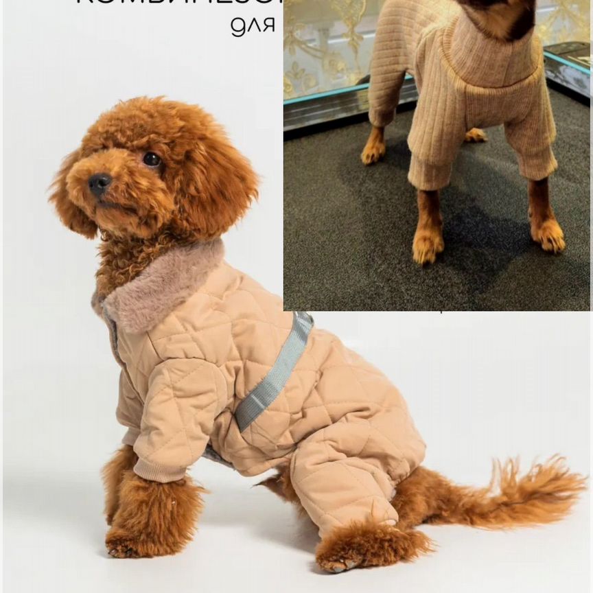 Одежда для собак (щенков) два комбинезона