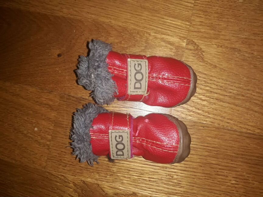 Зимняя обувь для маленьких собак. 2 ботинка