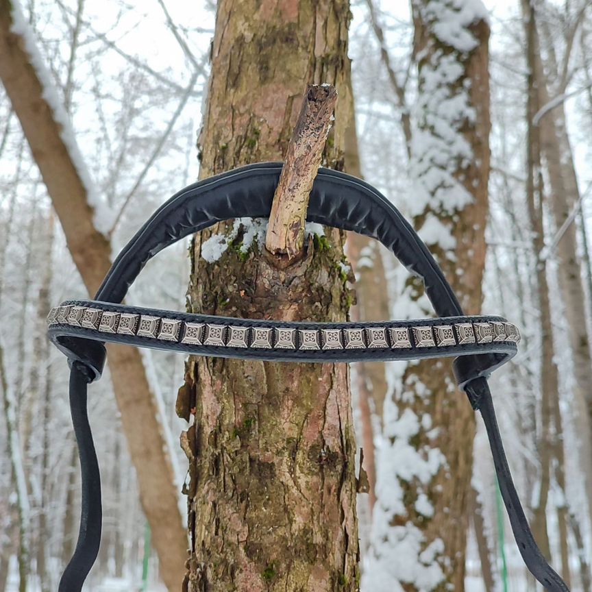 Налобник для лошади