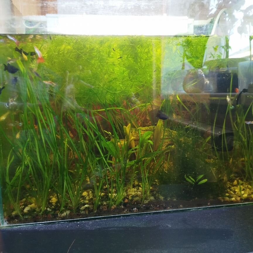 Аквариум в комплекте