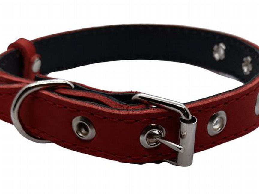 Ошейник для собак из натуральной кожи