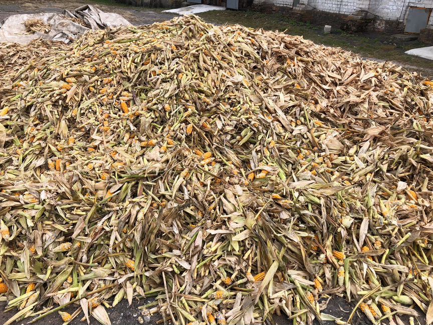 Отходы кукурузы