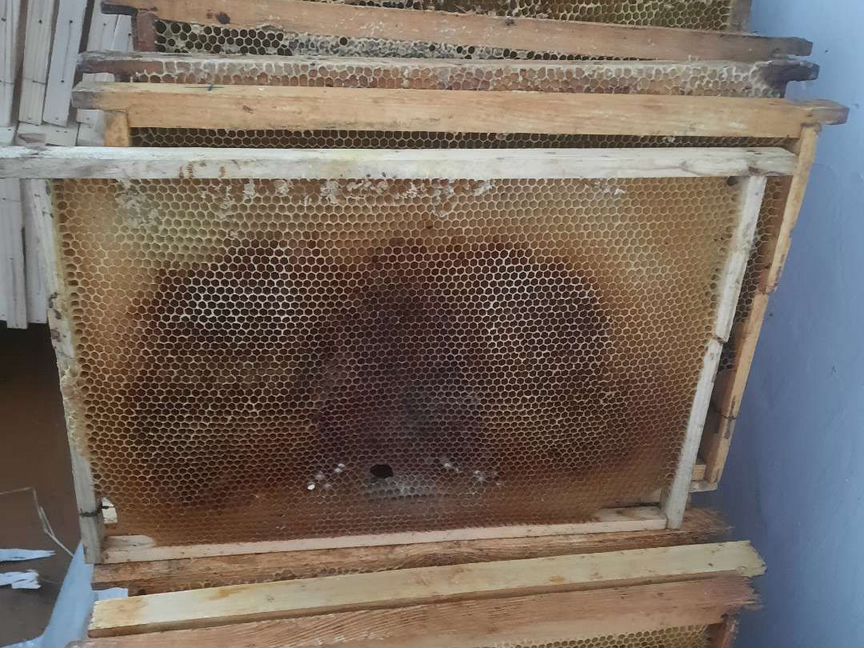 Сушь для пчел