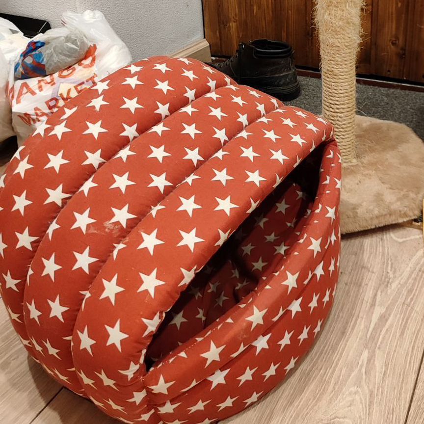 Вещи для кошек