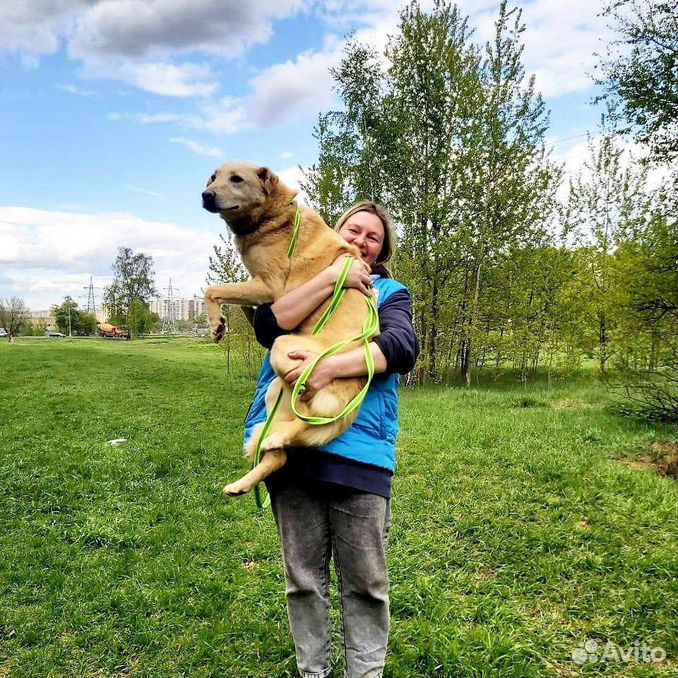 Ласковый нежный парень все еще ждет