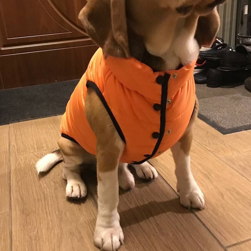 Костюмчик для собак тёплый новый М