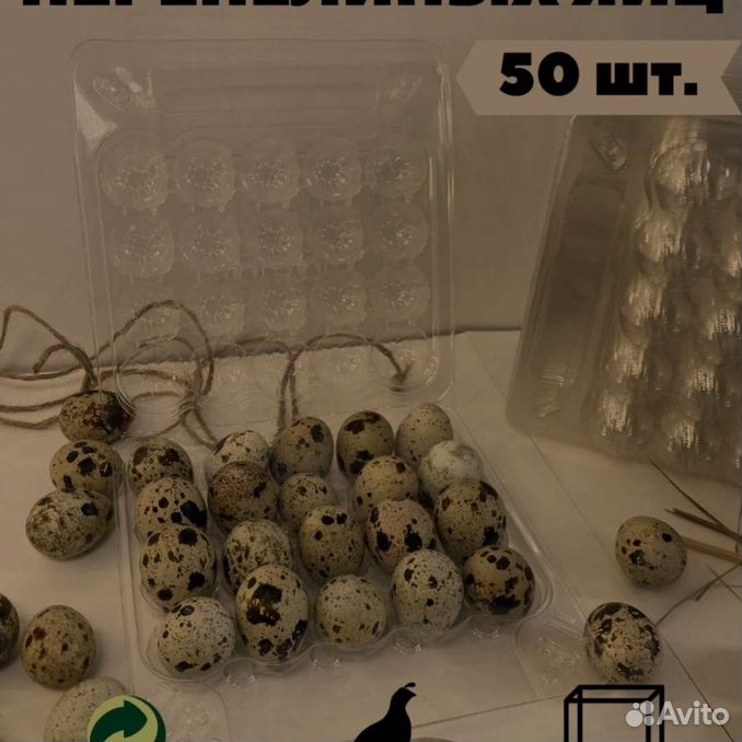 Упаковка для перепелиных яйц
