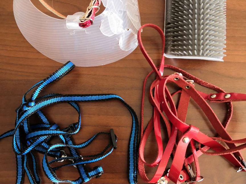 Аксессуары для кошек