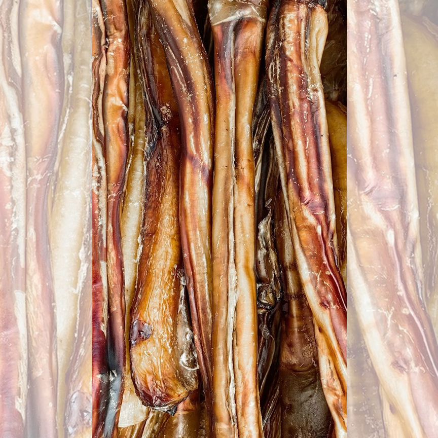 Бычий корень для собак