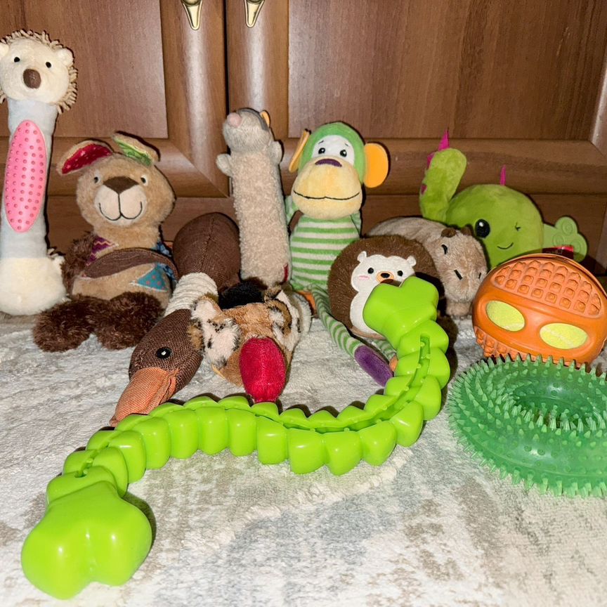 Набор игрушек для собак