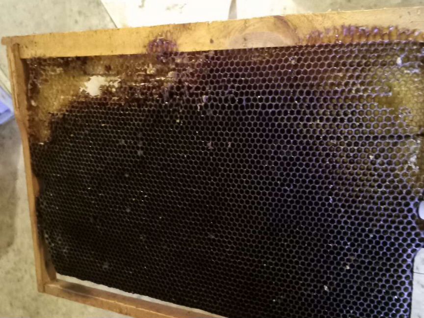 Рамки с сушью