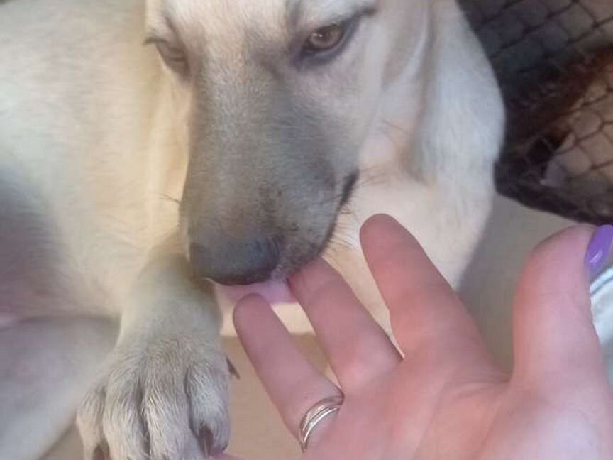 Девочка-лапочка,4 мес