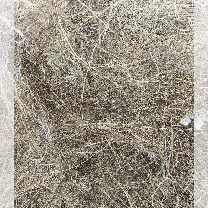 Сено в тюках