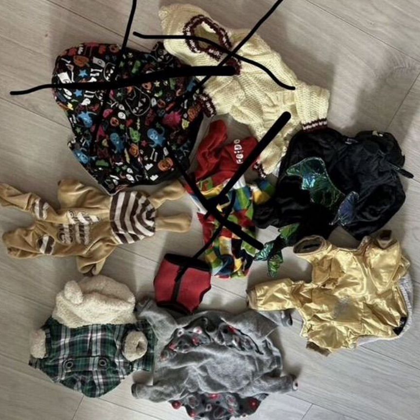 Одежда для маленьких собак