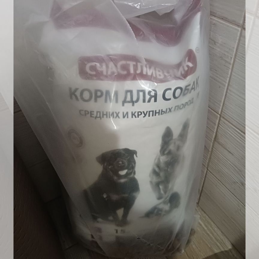 Сухой корм для собак
