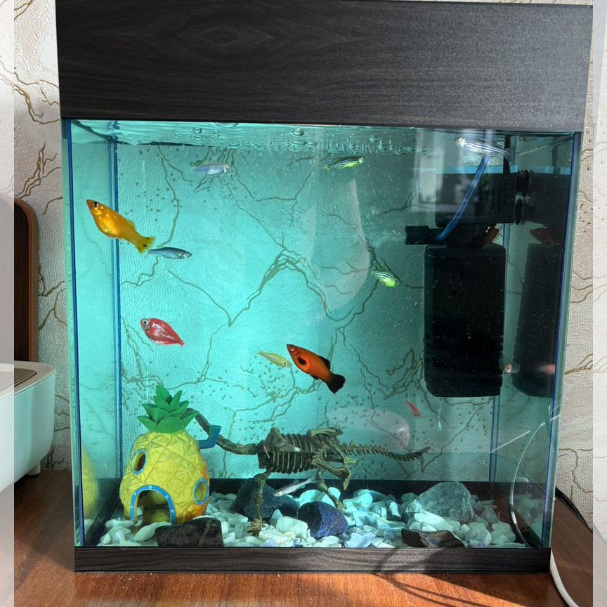 Аквариум на 20 литров